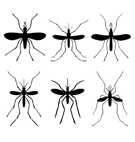 Mosquito Vector Images (over 16,000)