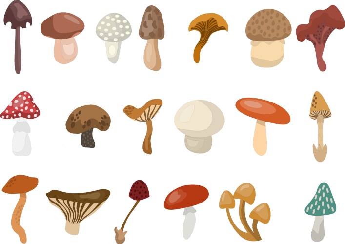 Mushroom Vector Images (over 100,000)