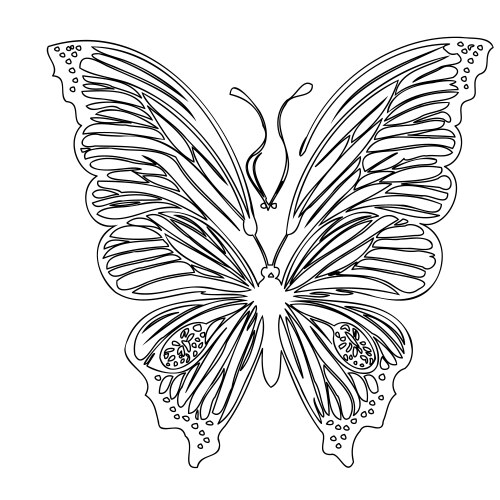Butterfly animal outline sketch Royalty Free Vector Image