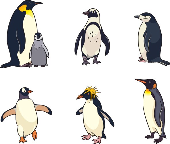 Penguins Vector Images (over 34,000)