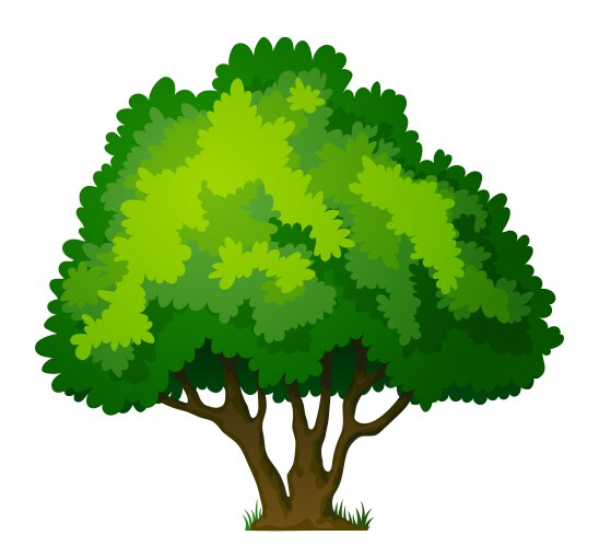 A large tree with thick crown Royalty Free Vector Image