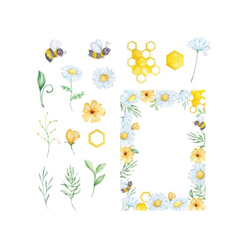 Watercolor floral frame with honeycomb daisy Vector Image