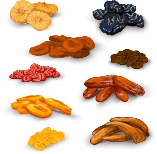 Dried fruits set isolated icons Royalty Free Vector Image
