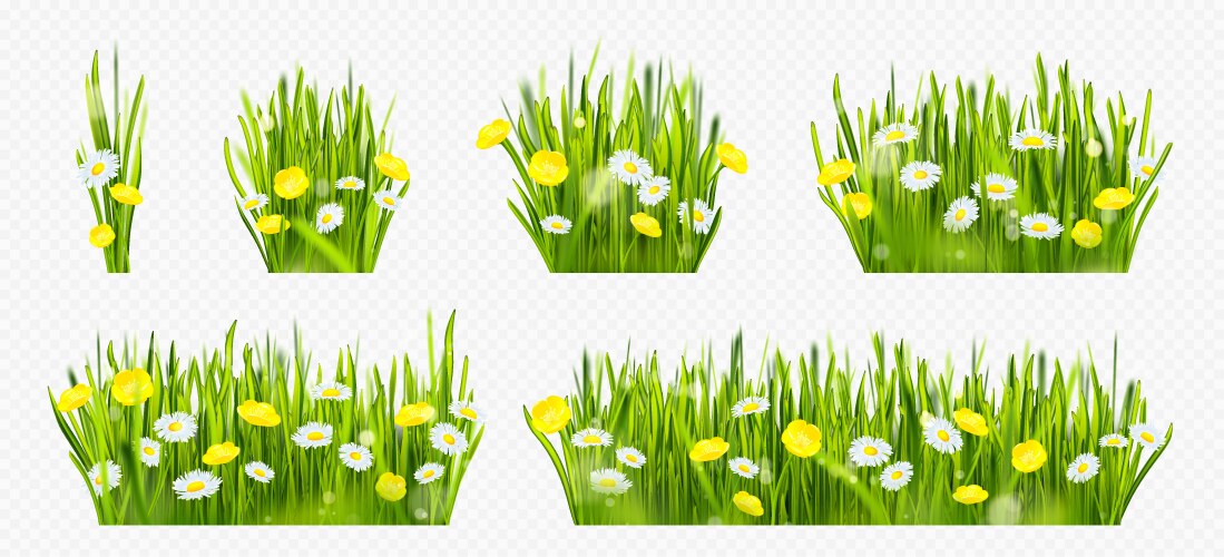 Grass foliage and flowers plants Royalty Free Vector Image