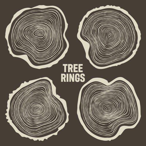 Round tree trunk cuts with cracks sawn pine Vector Image