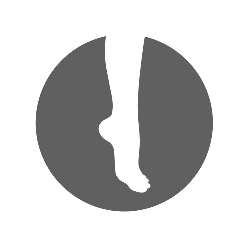 Leg Vector Images (over 180,000)