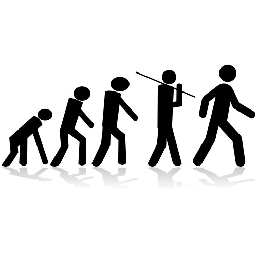 Biology human evolution stages evolutionary Vector Image