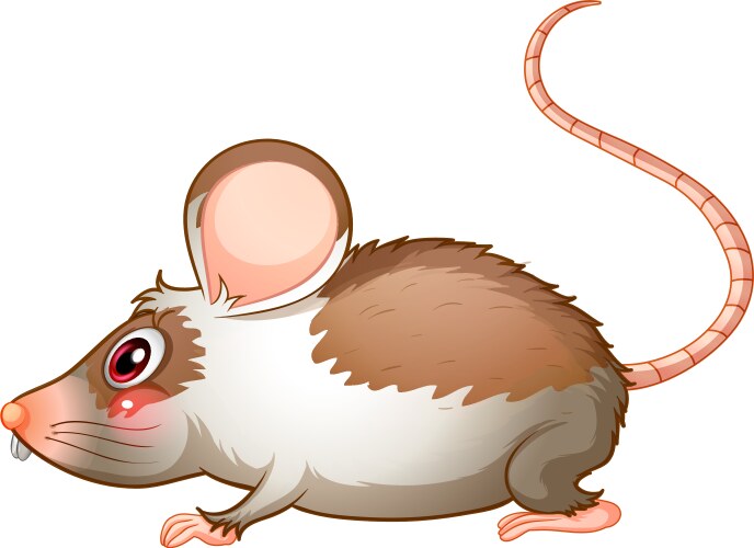 Human eye with contact lense side view cartoon Vector Image