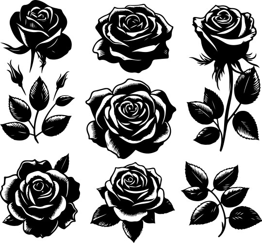 Beautiful rose silhouette Royalty Free Vector Image