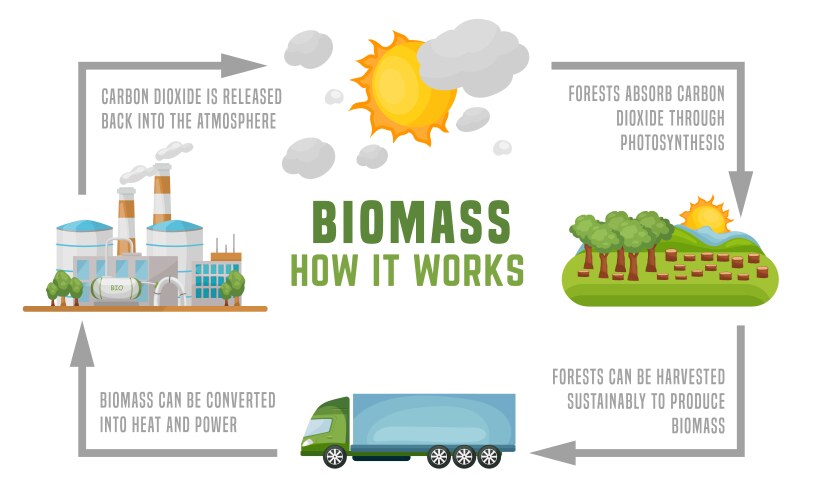 Pros and cons of biomass energy vertical poster Vector Image