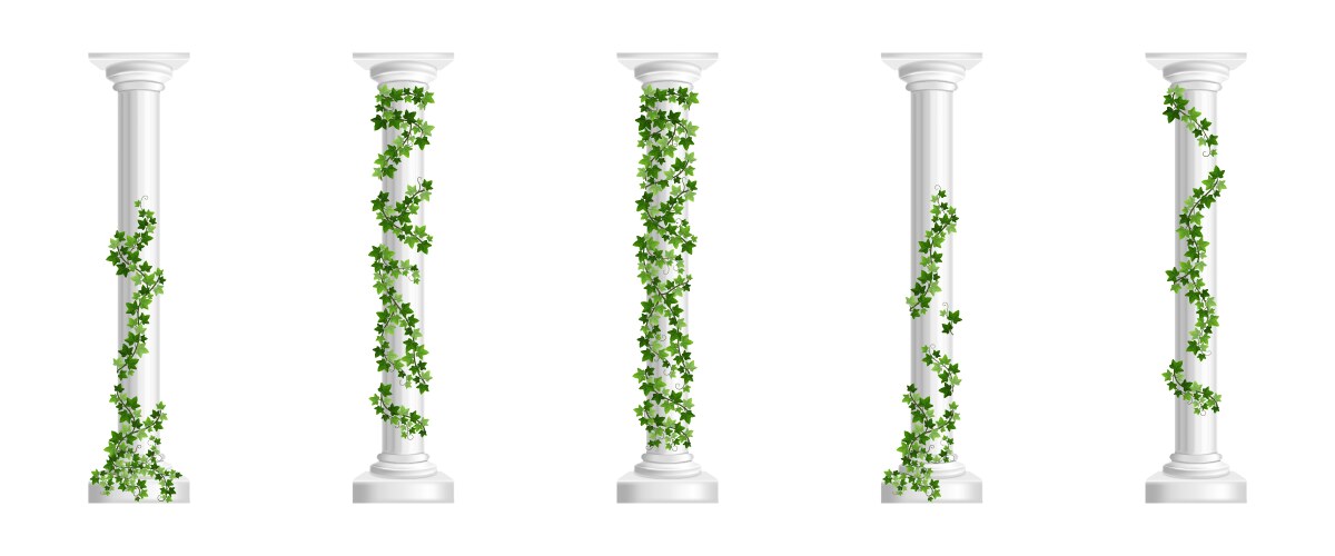 Creeper Plant Vector Images (over 2,100)