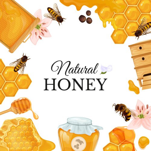 Paper and honey composition Royalty Free Vector Image