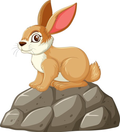 Rabbit Sitting Vector Images (over 7,000)