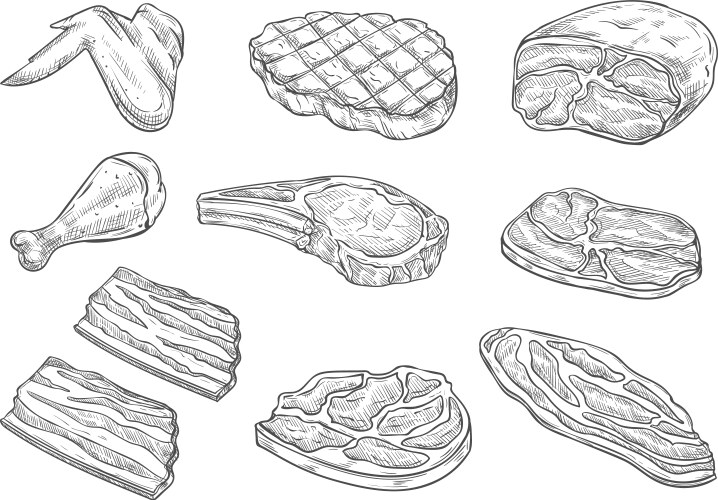Raw meat set drawing hand drawn beef steak Vector Image