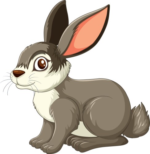 Rabbit Sitting Vector Images (over 7,000)