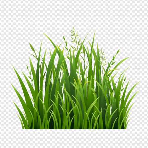 Environmental Border Vector Images (over 2,800)