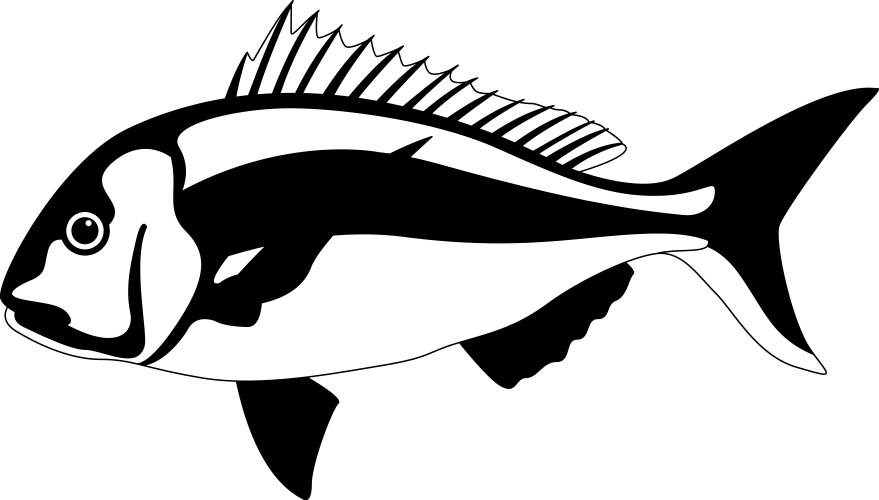 Snapper Royalty Free Vector Image - VectorStock