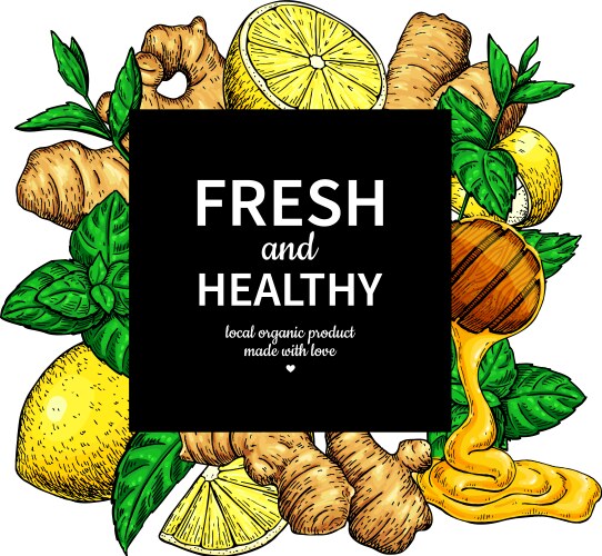 Honey ginger lemon and mint drawing Royalty Free Vector