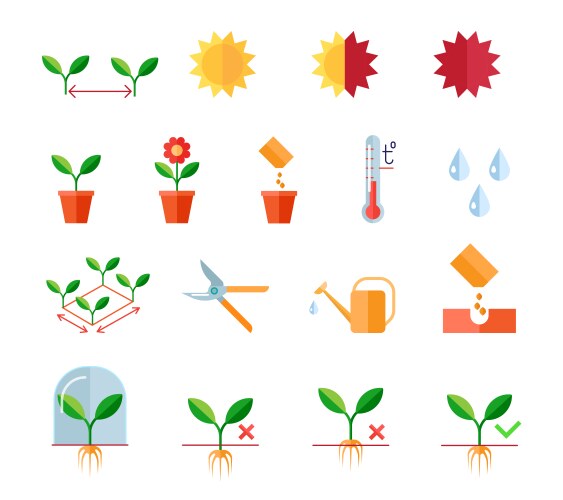 Planting seed banner stages growth plant Vector Image