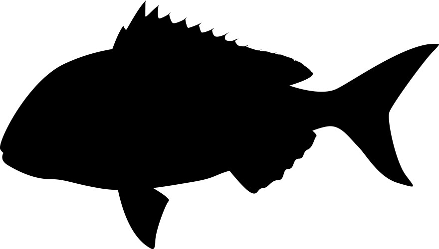 Snapper Fish Vector Images (over 680)