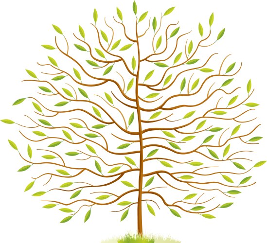 Spring Tree Vector Images (over 230,000)