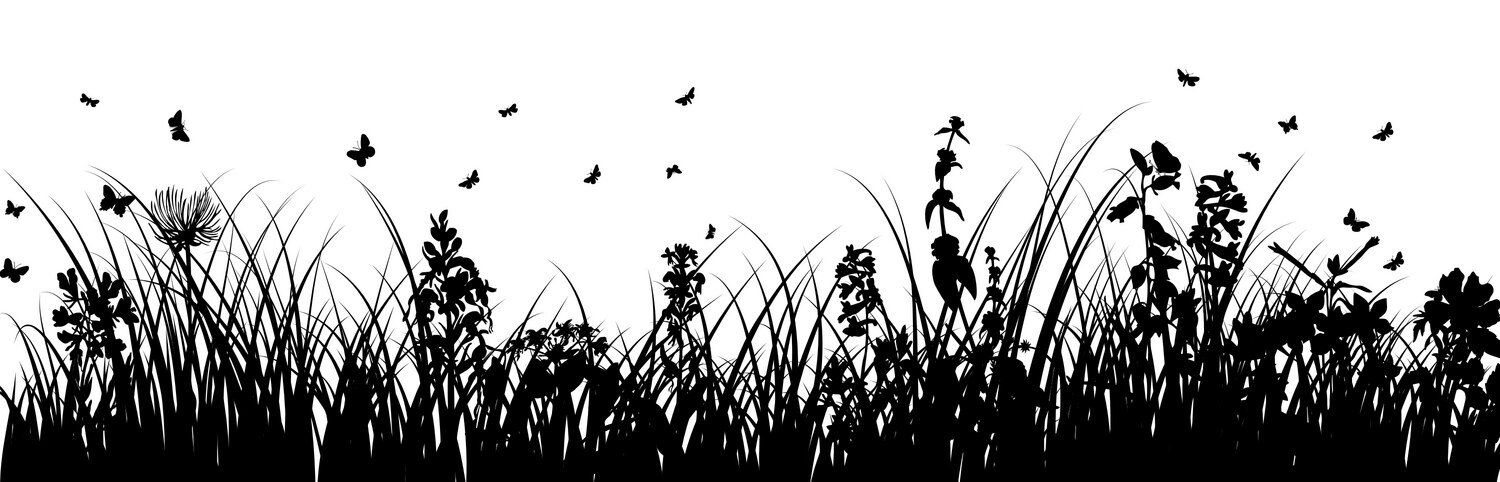 Wheat and grass Royalty Free Vector Image - VectorStock