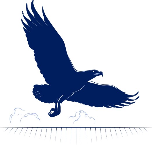 Flying Eagle Vector Images (over 45,000)