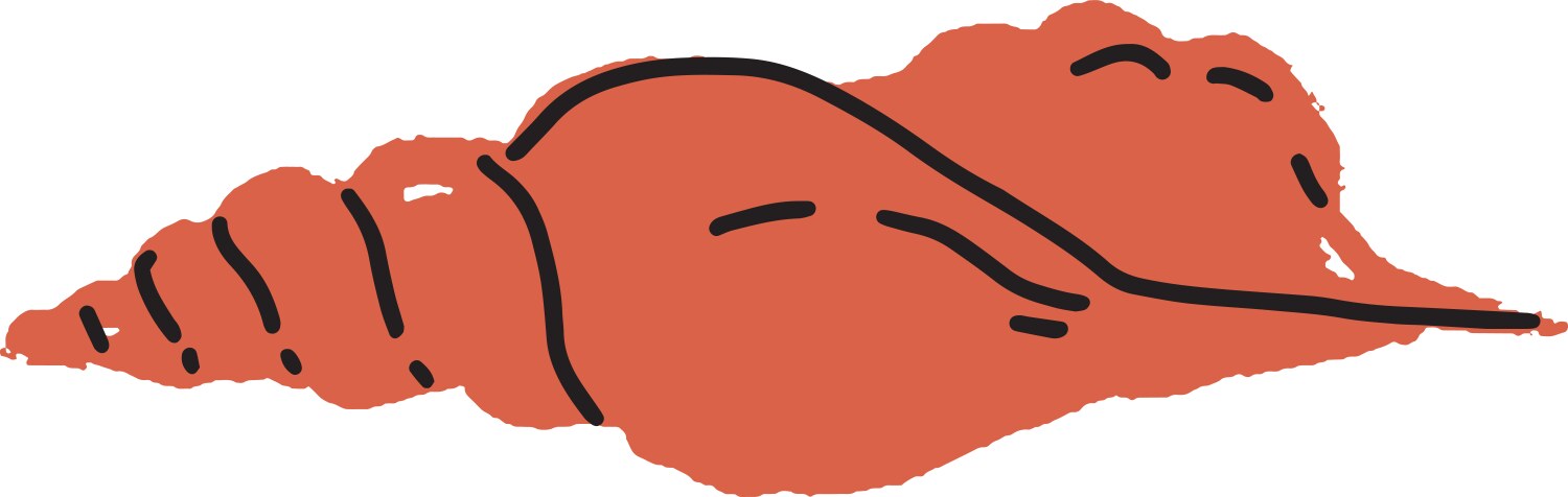 Nature shell icon cartoon style Royalty Free Vector Image