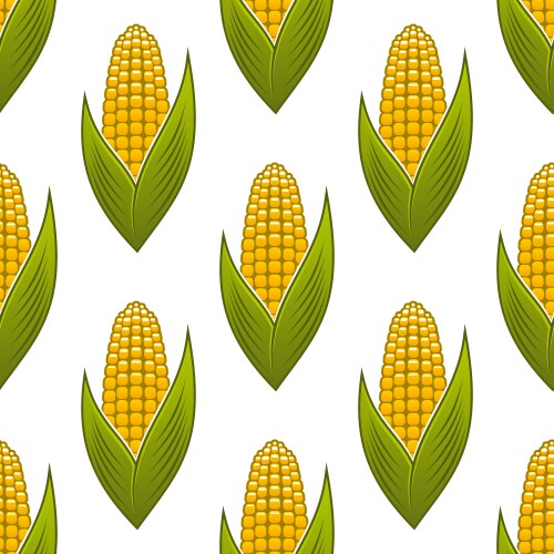 Corn seamless pattern maize Royalty Free Vector Image