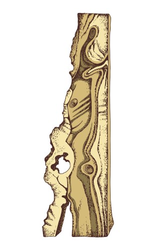 Hand Drawn Wood Texture Vector Images (over 4,900)