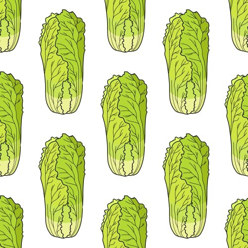 Lettuce Background Vector Images (over 15,000)