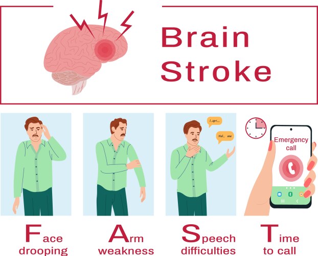 Stroke symptoms and preventions poster with text Vector Image