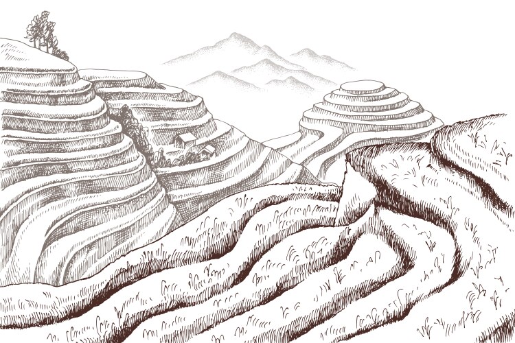 Rice Terraces Vector Images (over 430)