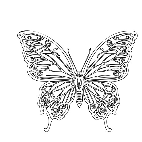 Butterfly animal outline sketch Royalty Free Vector Image