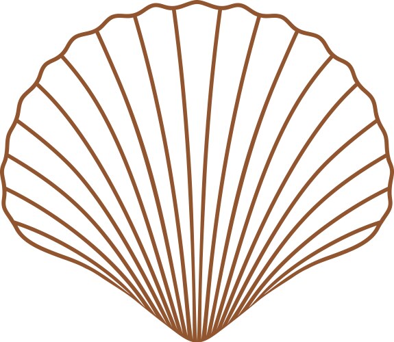 Scallop shell top view line art Royalty Free Vector Image