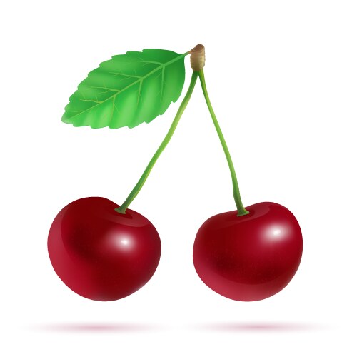 Three cherries with green Royalty Free Vector Image