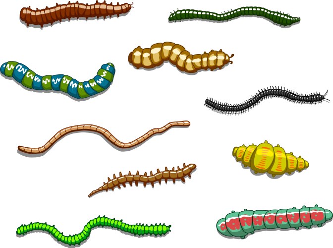 Worms intestinal parasites icon helminths symbol Vector Image