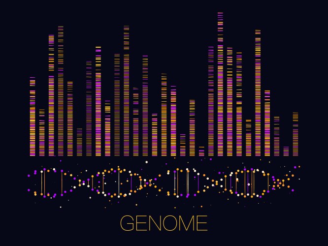Genomic data visualization gene mapping dna Vector Image