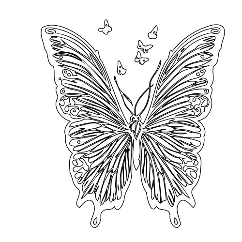 Butterfly animal outline sketch Royalty Free Vector Image