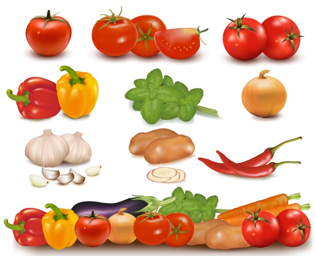 Vegetables Vector Images (over 590,000)