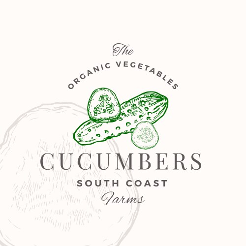 Cucumber Hand Drawn Vector Images (over 4,600)