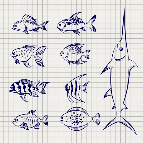 Fish Sketch Vector Images (over 51,000)