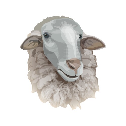 Sheep Head Vector Images (over 10,000)