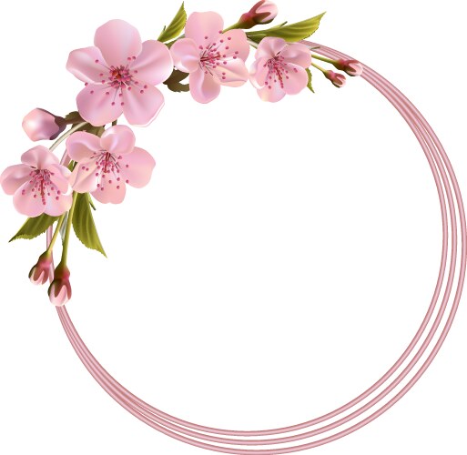 Spring background with white cherry flowers Vector Image