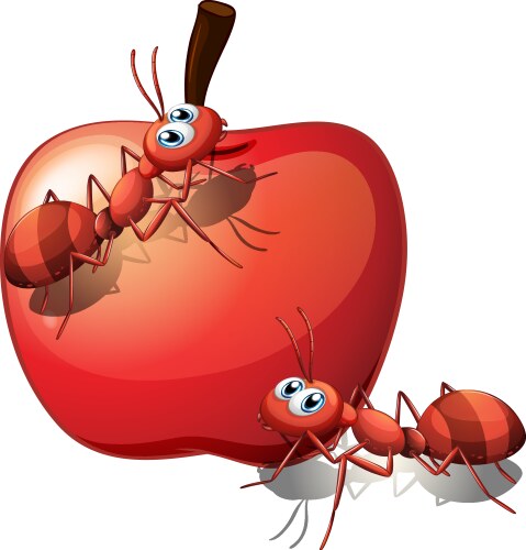 Ants carrying a red apple Royalty Free Vector Image