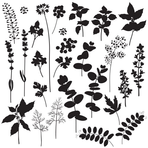 Plants Outline Vector Images (over 370,000)