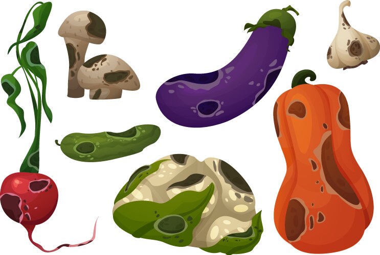 Rotten food product set spoiled and damaged fruit Vector Image
