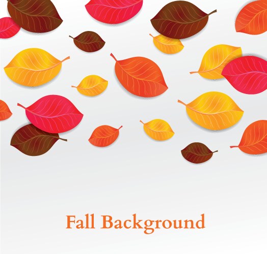 Fall leaves Royalty Free Vector Image - VectorStock