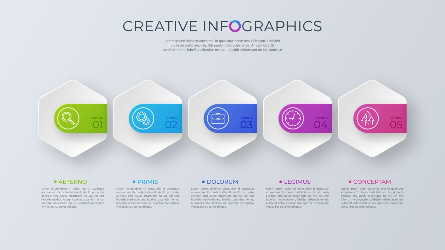 Contemporary minimalist infographic design Vector Image
