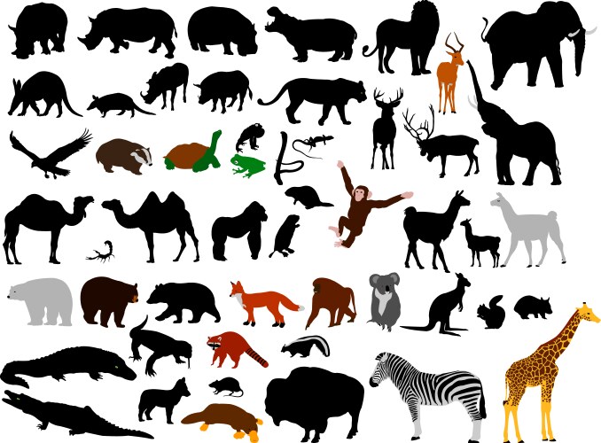 Wild Animals Vector Images (over 730,000)